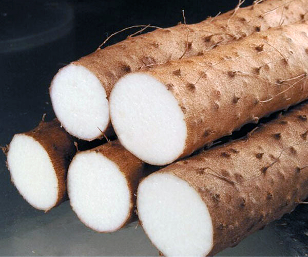 Chinese Yam là gì? Khám Phá Lợi Ích Sức Khỏe và Cách Sử Dụng Hoài Sơn